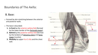 6-Pectoral Region and Axilla pdf.pptx hj | PPT