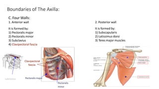 6-Pectoral Region and Axilla pdf.pptx hj | PPT