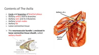 6-Pectoral Region and Axilla pdf.pptx hj | PPT