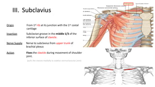 6-Pectoral Region and Axilla pdf.pptx hj | PPT