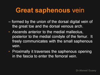6 peripheral venous duplex superfiscial venous system in lower limb ...