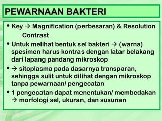 6-pewarnaan-bakteri gram positif dan negatif | PPT