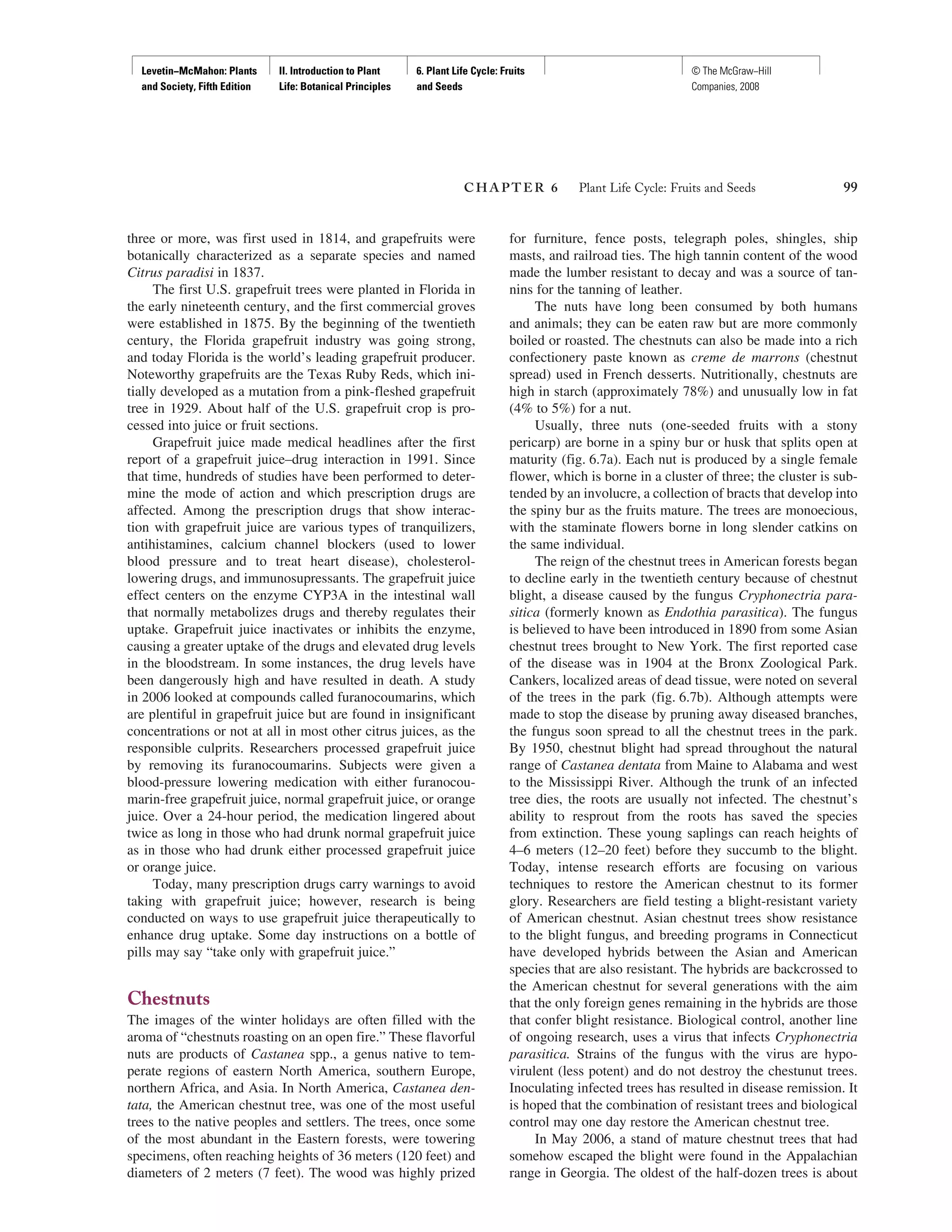 6. plant life cycle fruits and seeds | PDF