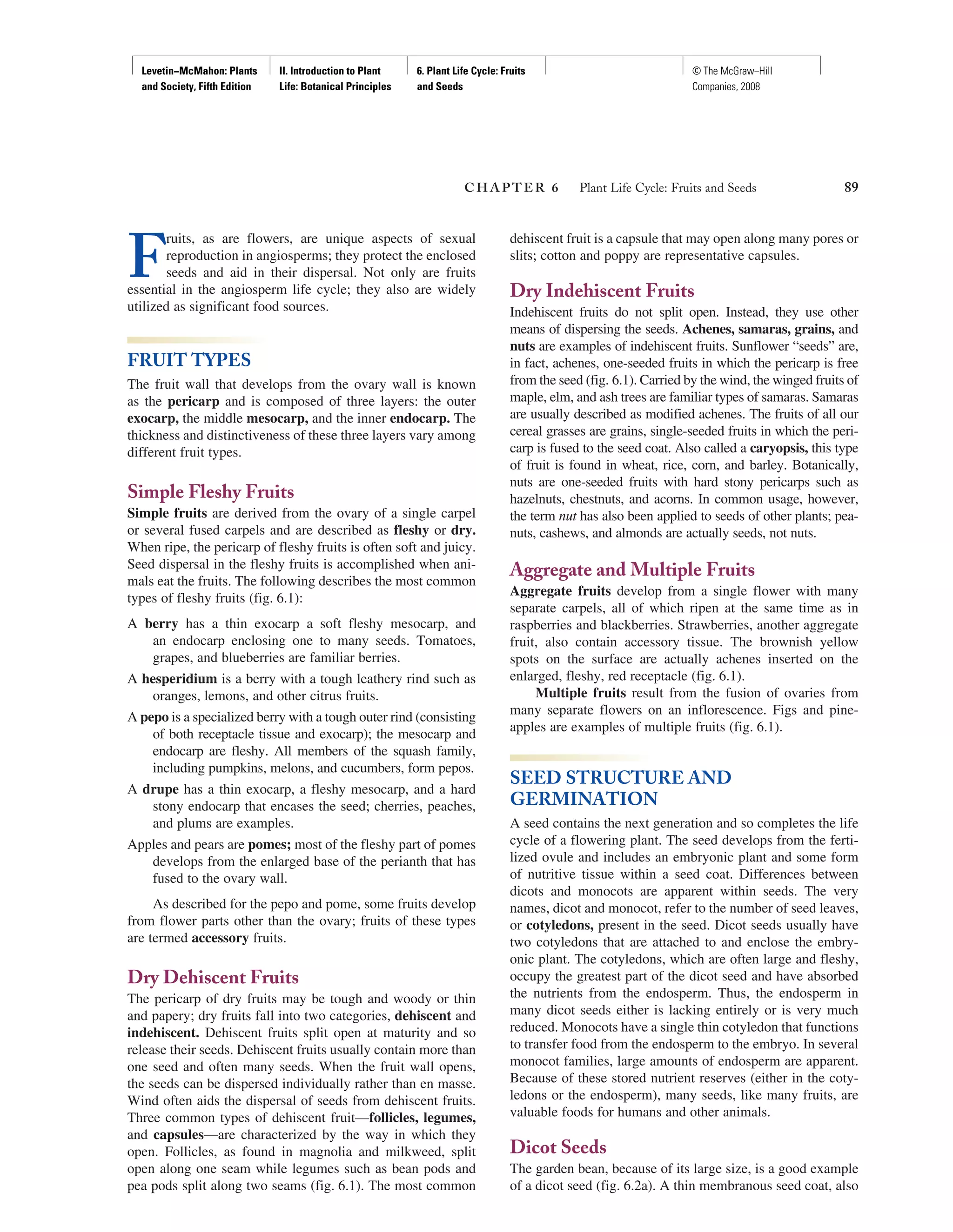 6. plant life cycle fruits and seeds | PDF