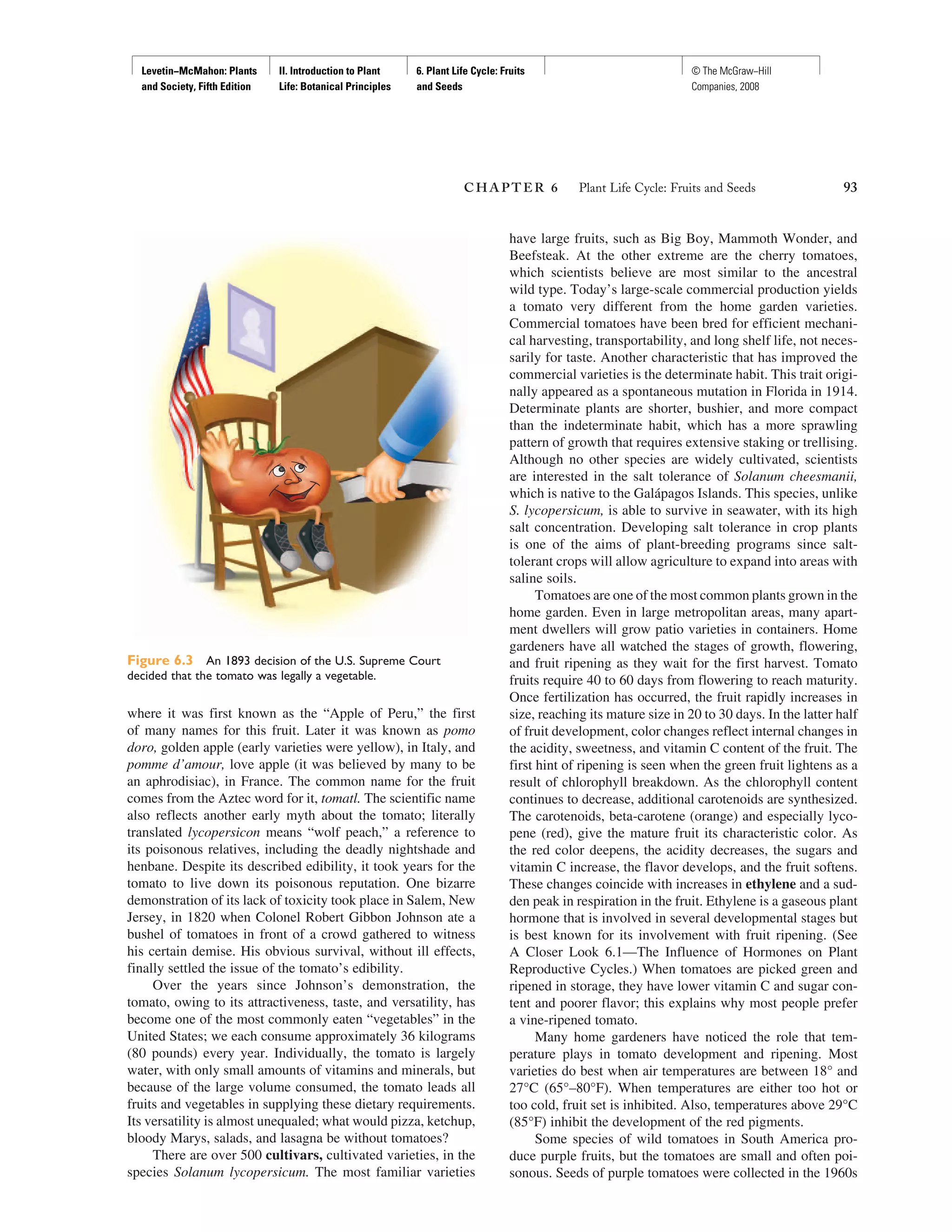 6. plant life cycle fruits and seeds | PDF