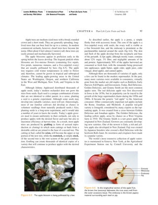 6. plant life cycle fruits and seeds | PDF