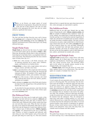 6. plant life cycle fruits and seeds | PDF