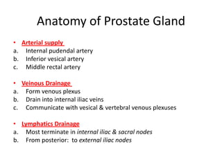Prostate Cancer | PPTX