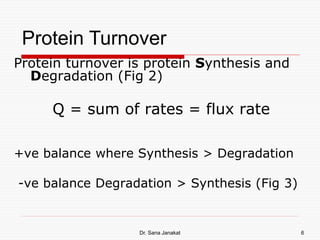 6-Protein synthesis and degradation 2023.pdf