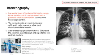 6-Radiological Anatomy Of The Chest..pdf