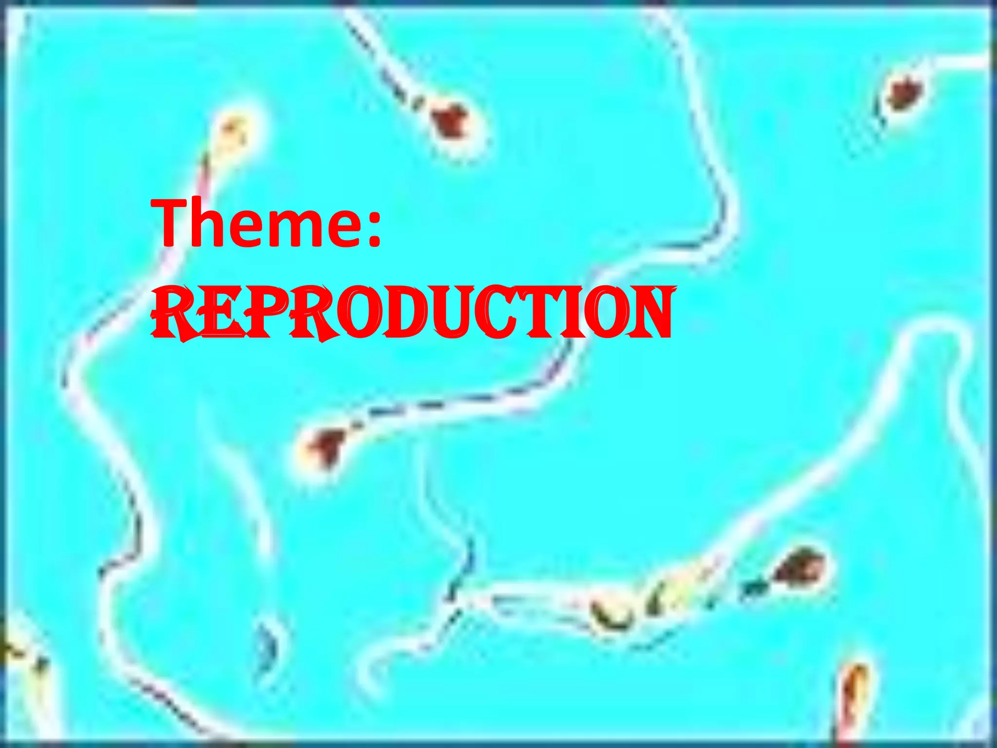 6. reproduction | PPTX