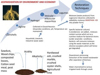 Requiem | PDF | Agriculture | Industries