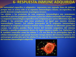 6- RESPUESTA INMUNE ADQUIRIDA Inmunología | PDF
