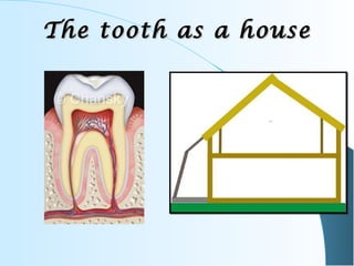 6.restoration of the endodontically treated tooth | PPT