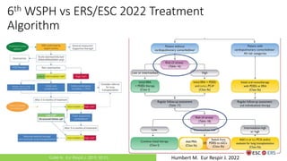 The Case for Systematic Risk Assessment in PAH.pptx
