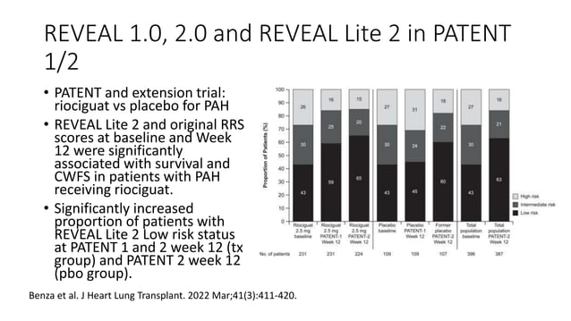 The Case for Systematic Risk Assessment in PAH.pptx