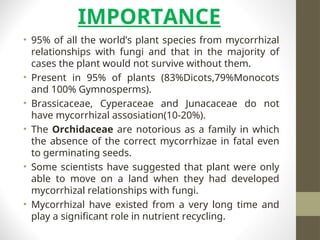 Mycorrhiza: Introduction Classification and Importance | PPT