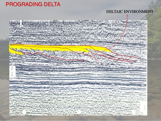 Seismic interpretation - Fluvial Deltaic System