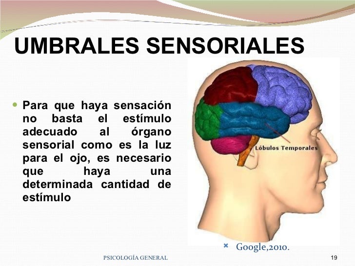SENSACIÓN Y PERCEPCIÓN - FANNY JEM WONG