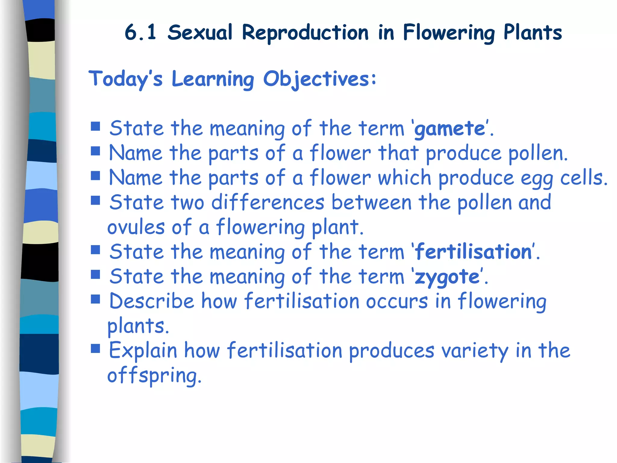 6 Sex Cells And Fertilisation Ppt