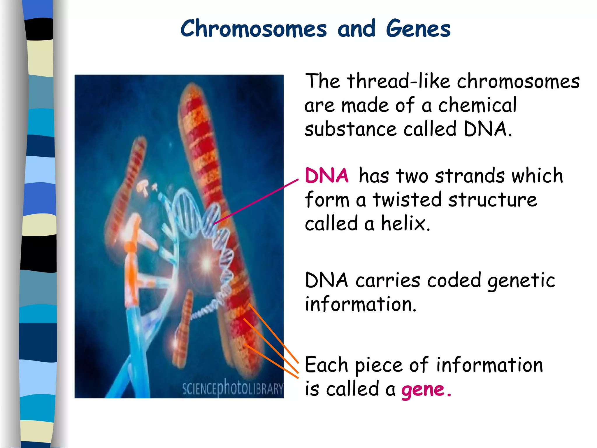 6. Sex Cells & Fertilisation | PPT