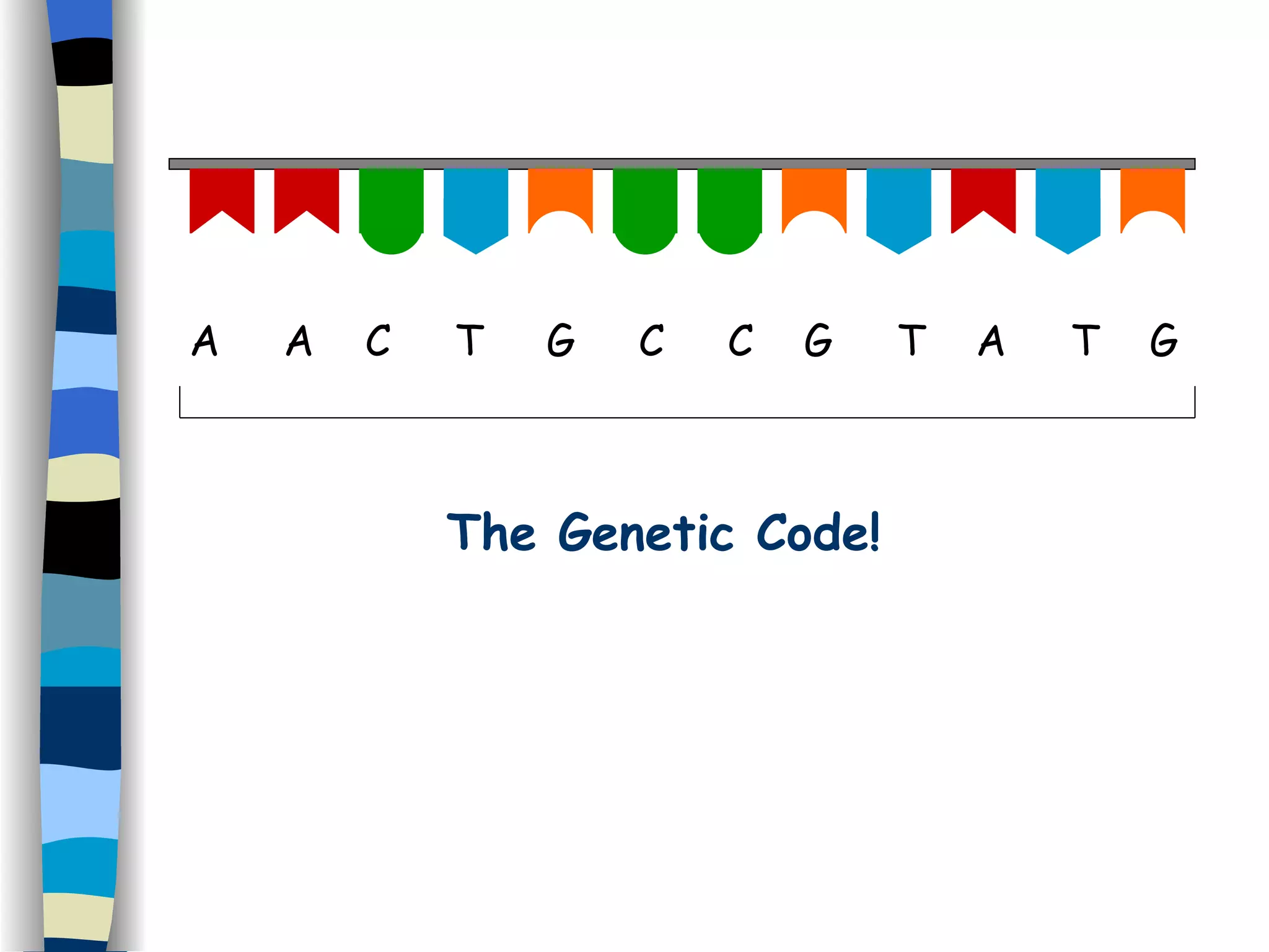 6 Sex Cells And Fertilisation Ppt