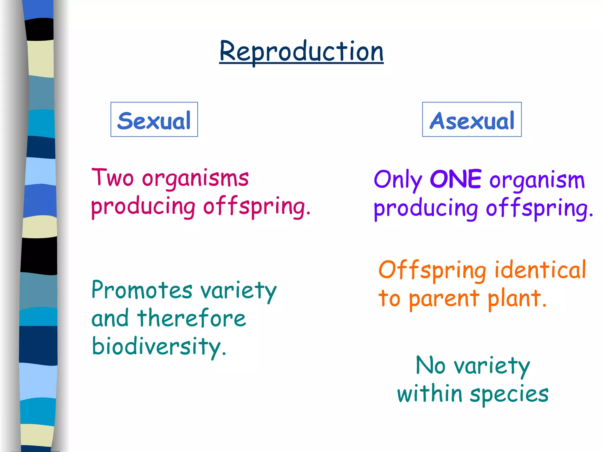 6. Sex Cells & Fertilisation | PPT