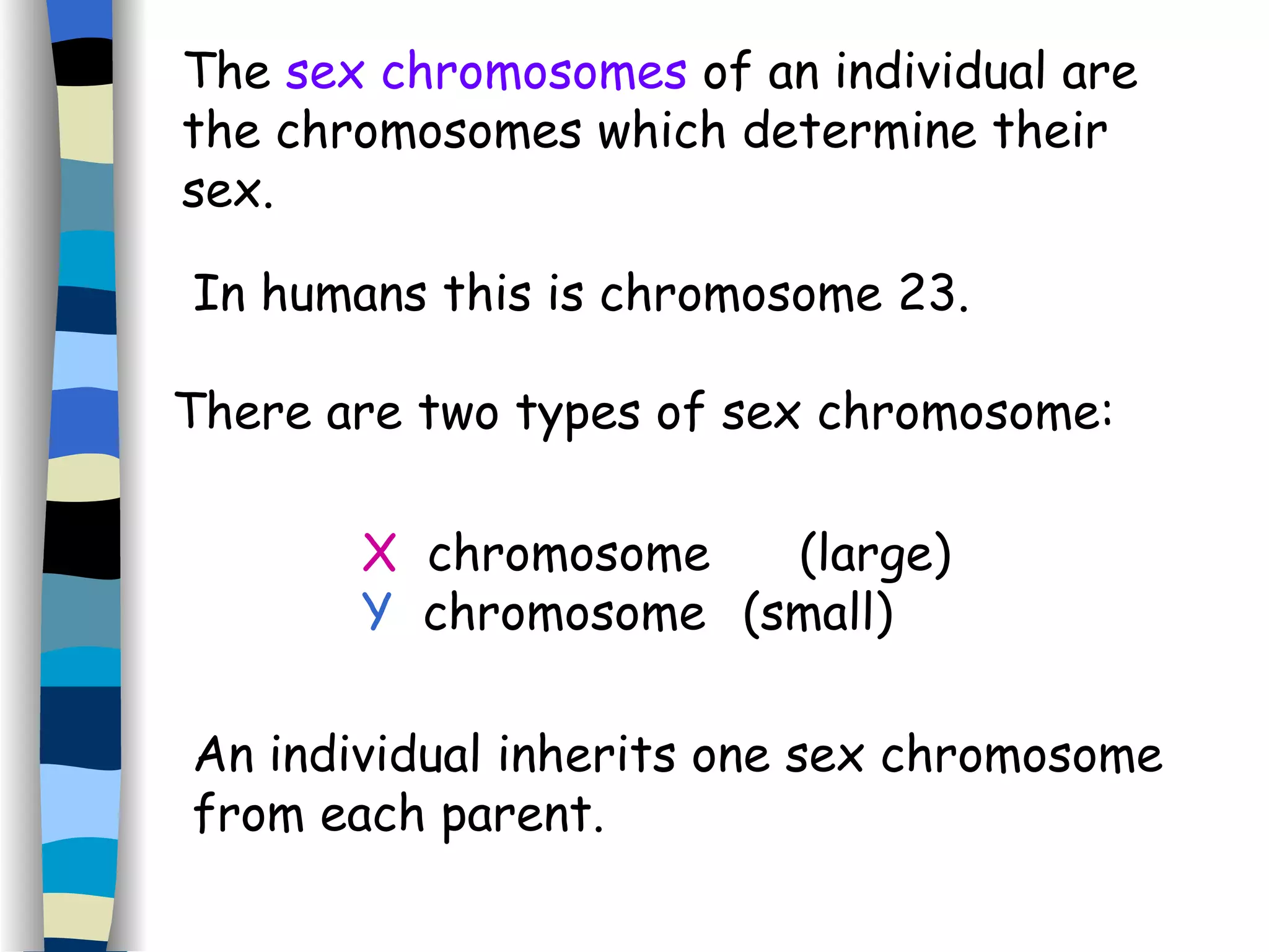 6 Sex Cells And Fertilisation Ppt
