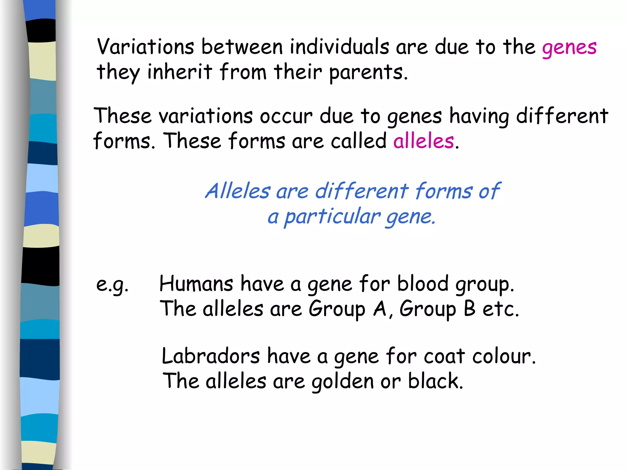 6 Sex Cells And Fertilisation Ppt