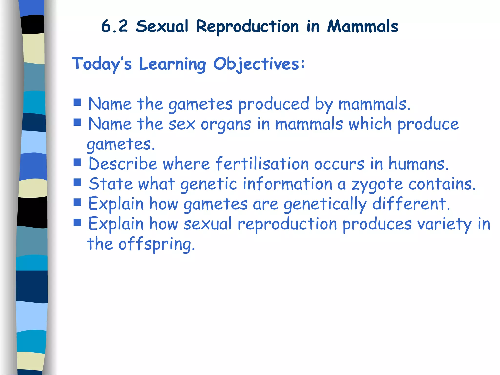 6 Sex Cells And Fertilisation Ppt