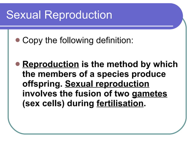 X Cells And Fertilisation Ppt