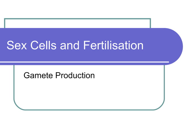 X Cells And Fertilisation Ppt Free Download