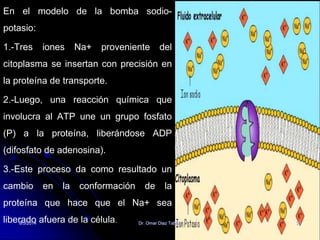 6 sinapsis | PPTX