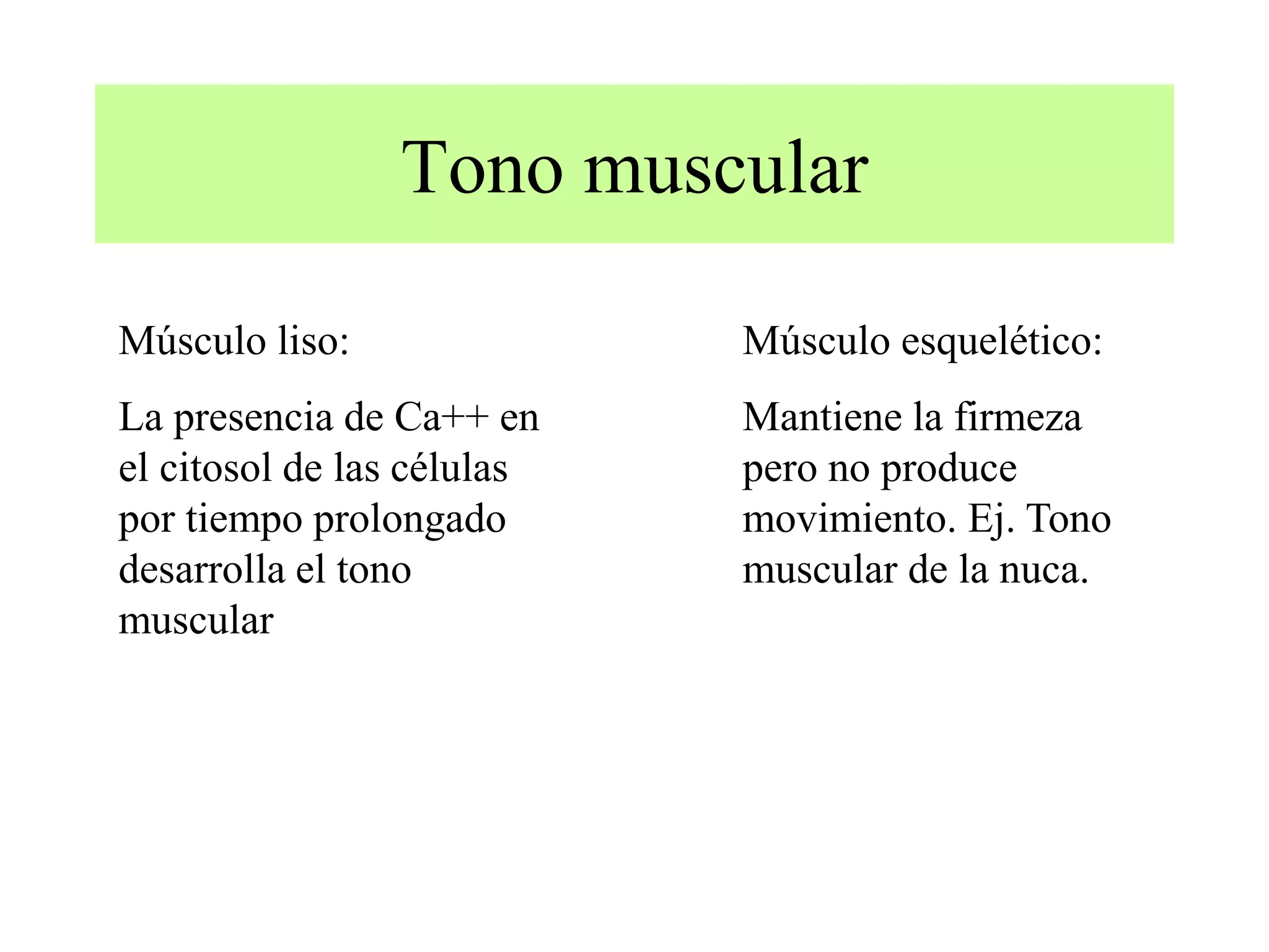 SISTEMA MUSCULAR | PPT