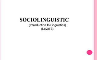 Sociolinguistic Introduction | PPTX