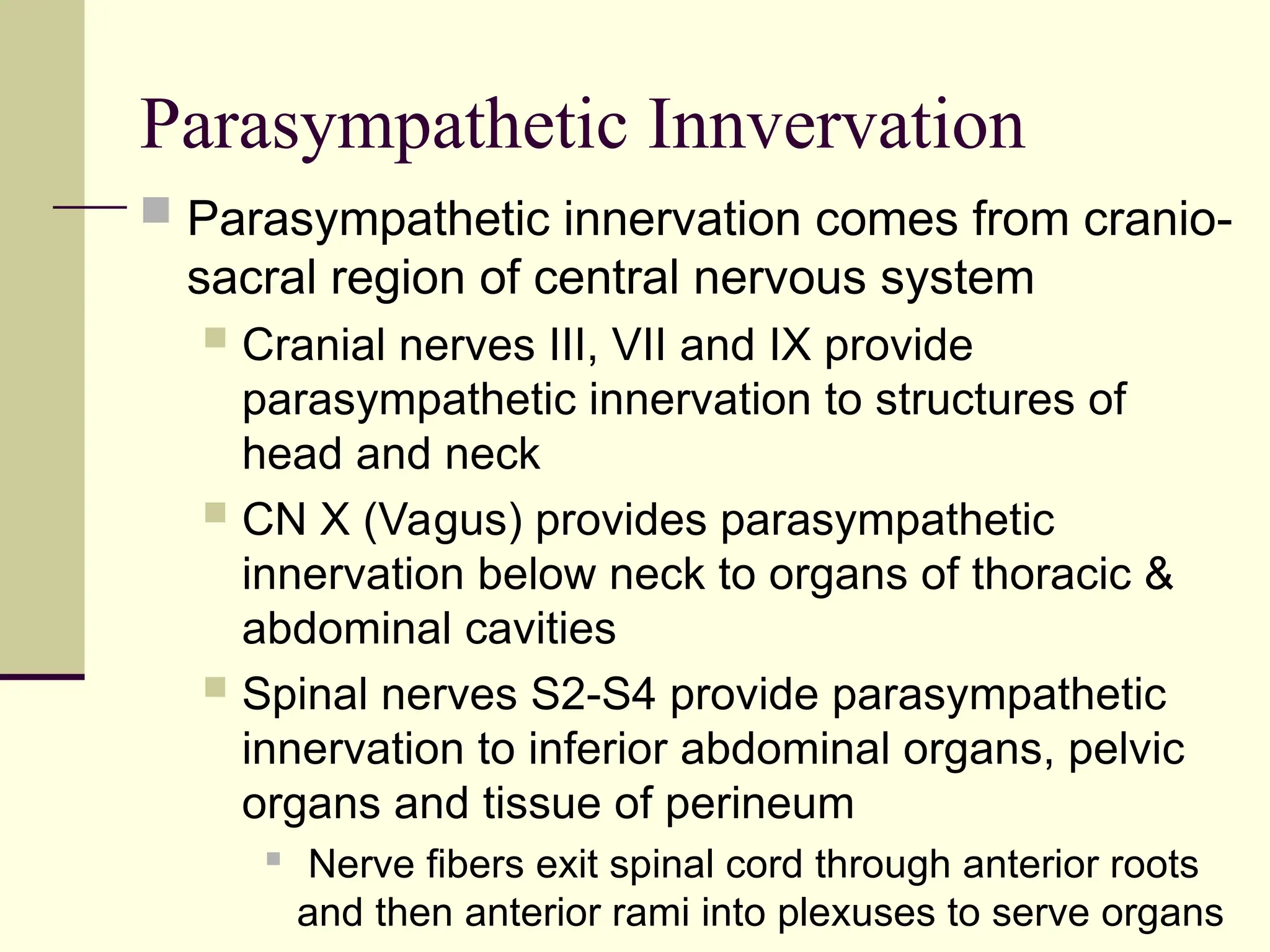 6 - Spinal Cord + Nerves Anatomy Grays.ppt