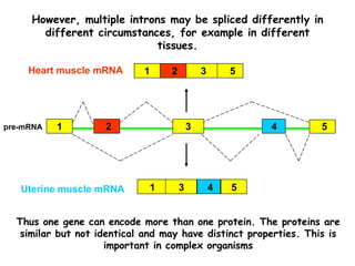 6-splicing-1-1.ppt | Programming Languages | Computing