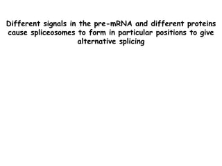 6-splicing-1-1.ppt | Programming Languages | Computing