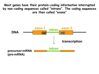 6-splicing-1-1.ppt