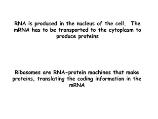 6-splicing-1-1.ppt | Programming Languages | Computing