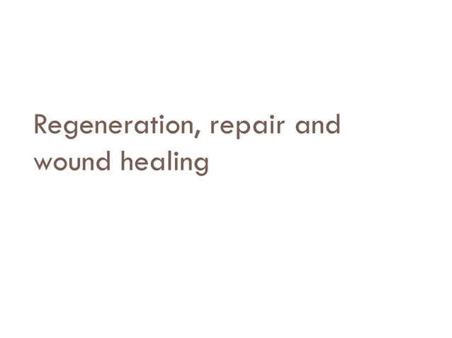 6. stem cells+regeneration dr ashutosh kumar | PPT