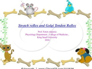 6-stretch reflex...................................... | PPT