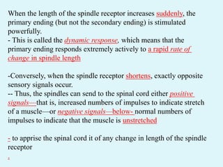 6-stretch reflex...................................... | PPT