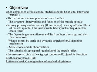 6-stretch reflex...................................... | PPT