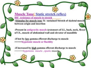 6-stretch reflex...................................... | PPT