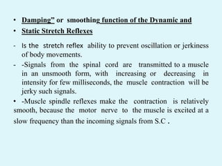 6-stretch reflex...................................... | PPT
