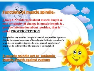 6-stretch reflex...................................... | PPT