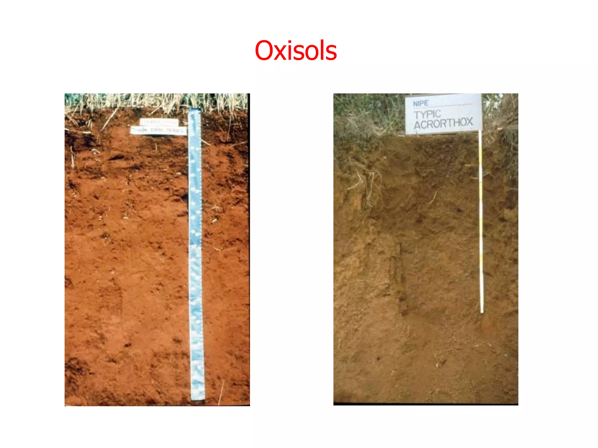 6-Tax-Soil-Orders-I.ppt