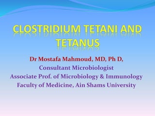 Tetanus Bacteria Life Cycle