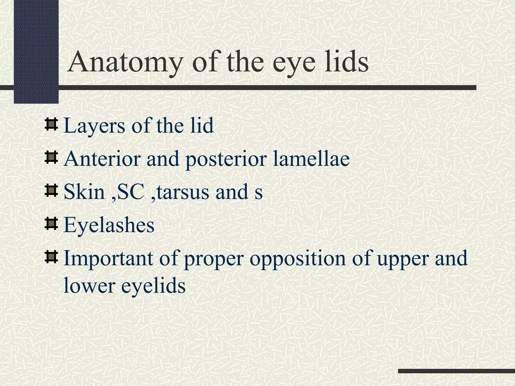 Eyelids | PPT
